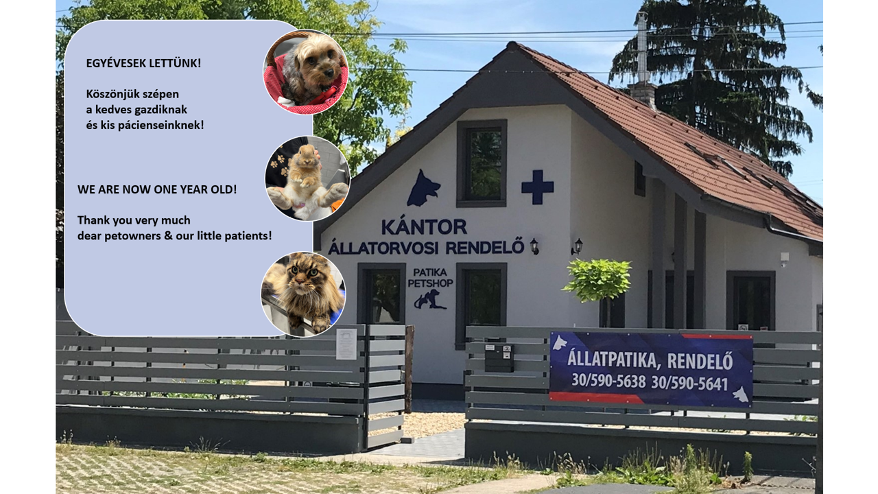 Galéria :: https://kantorrendelo-hu3.webnode.hu/